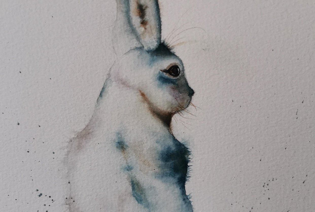 Snow hare | Skillshare Student Project