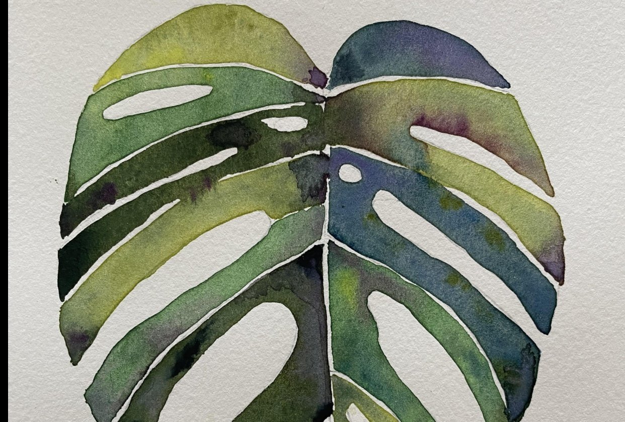 Cat's monstera leaf | Skillshare Student Project