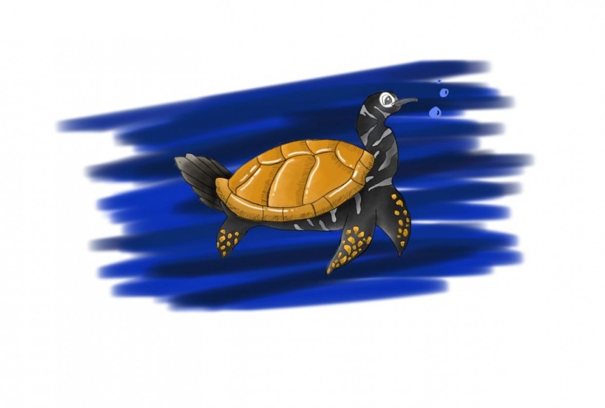 Sea Monster Skillshare Student Project sea-monster-skillshare-student-project