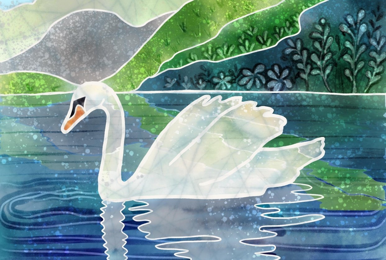 Swan Lake | Skillshare Student Project