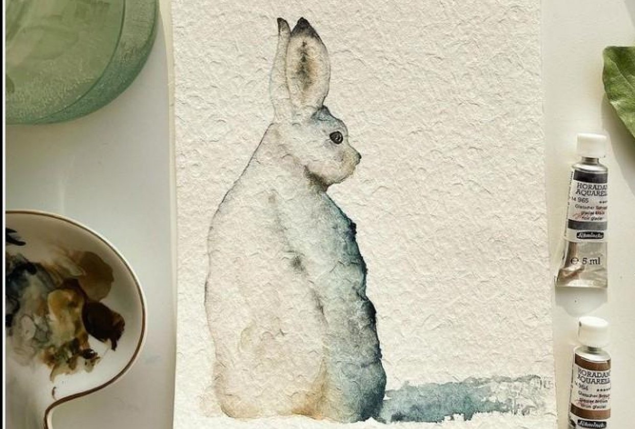 Snow hare | Skillshare Student Project