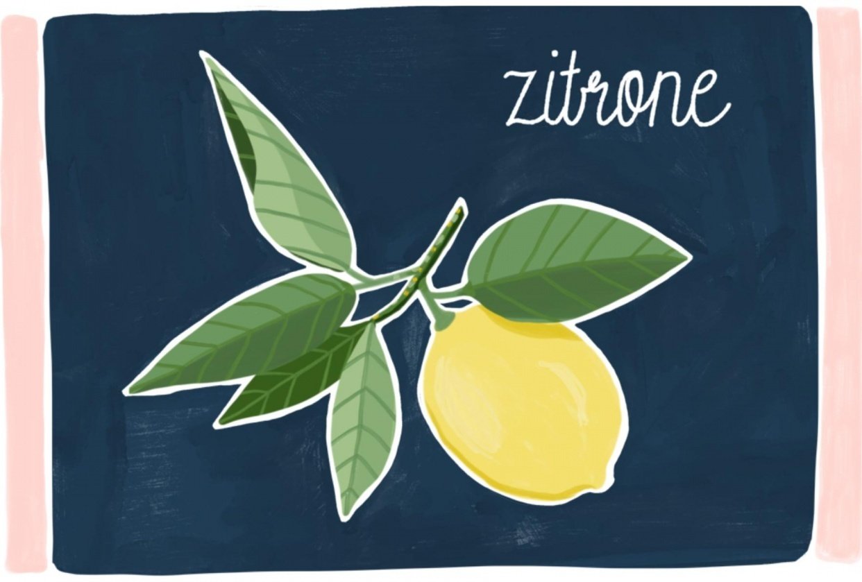 Lemon (Zitrone) | Skillshare Student Project