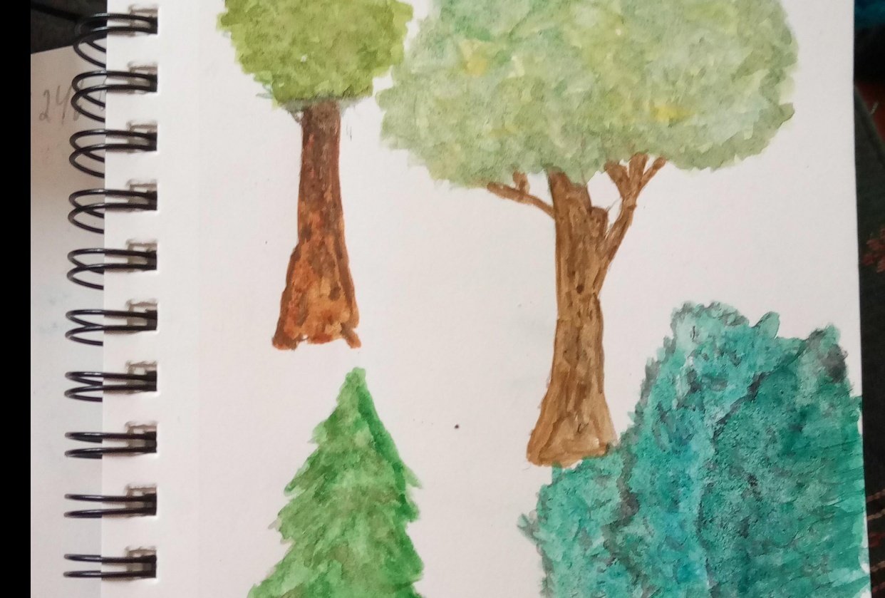 watercolor trees | Skillshare Student Project