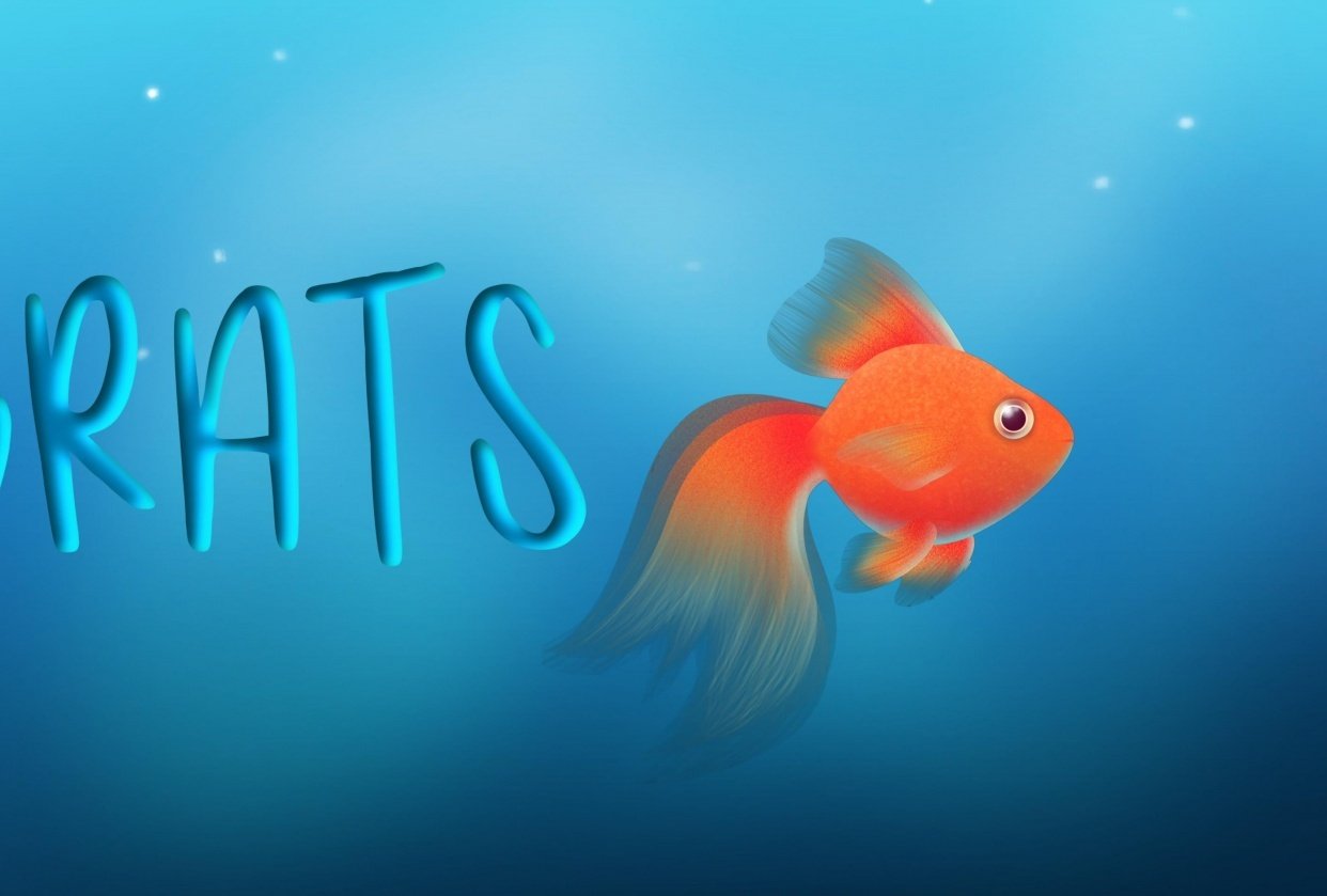 Congratulations | Skillshare Student Project