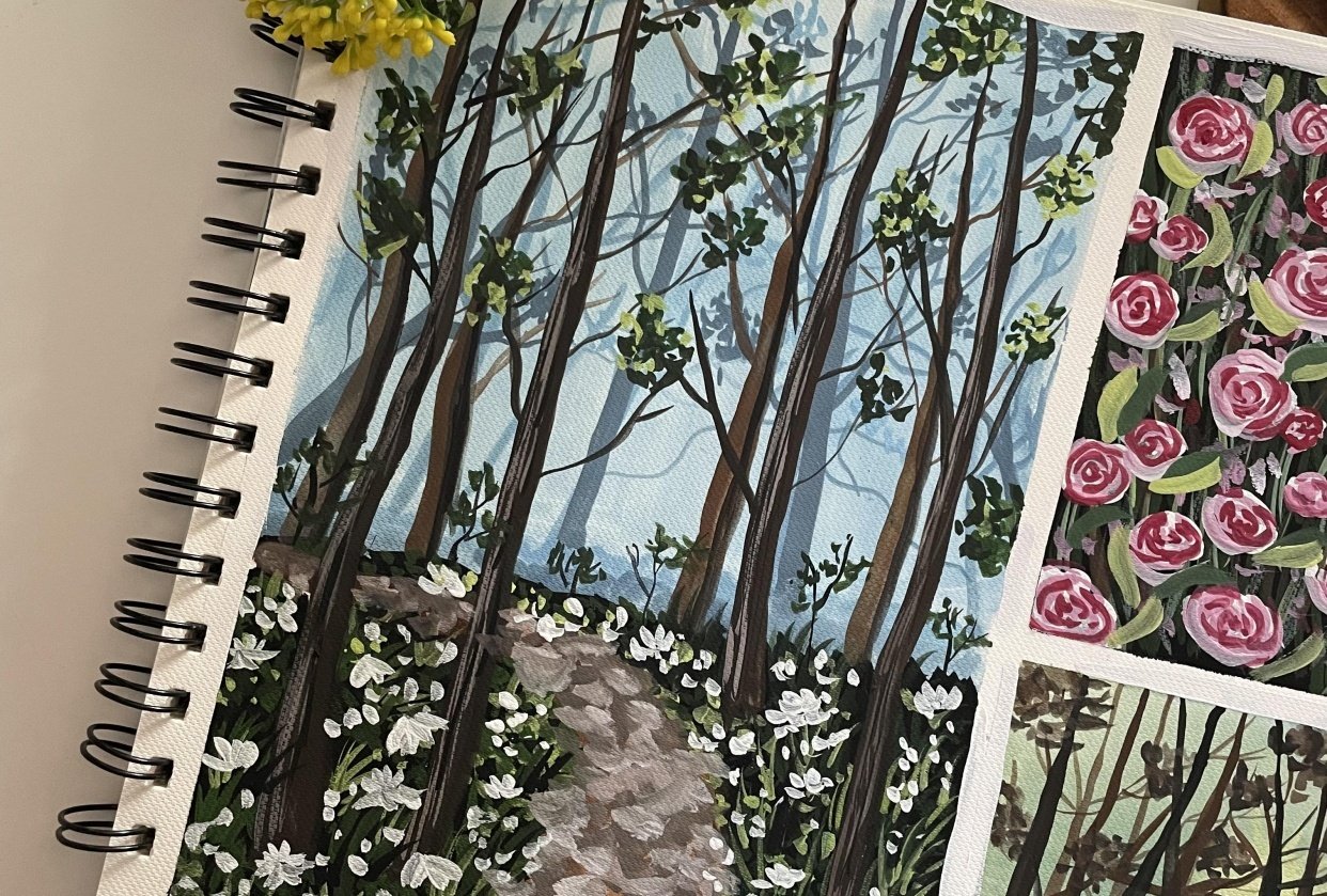Tropical Forest | Skillshare Student Project Tropical Forest | Skillshare Student Project