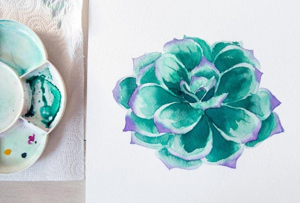 Watercolor succulent | Skillshare Student Project