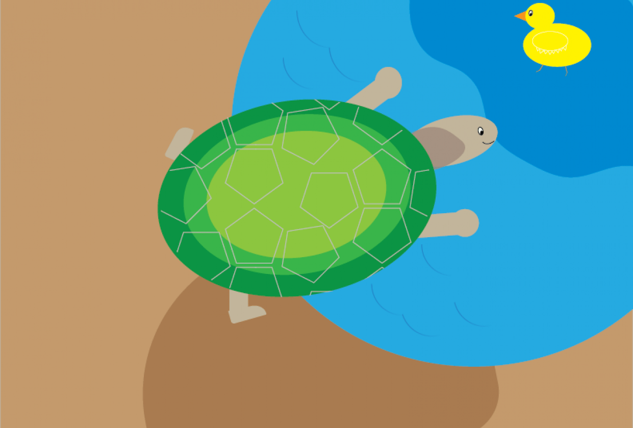 George the turtle | Skillshare Student Project