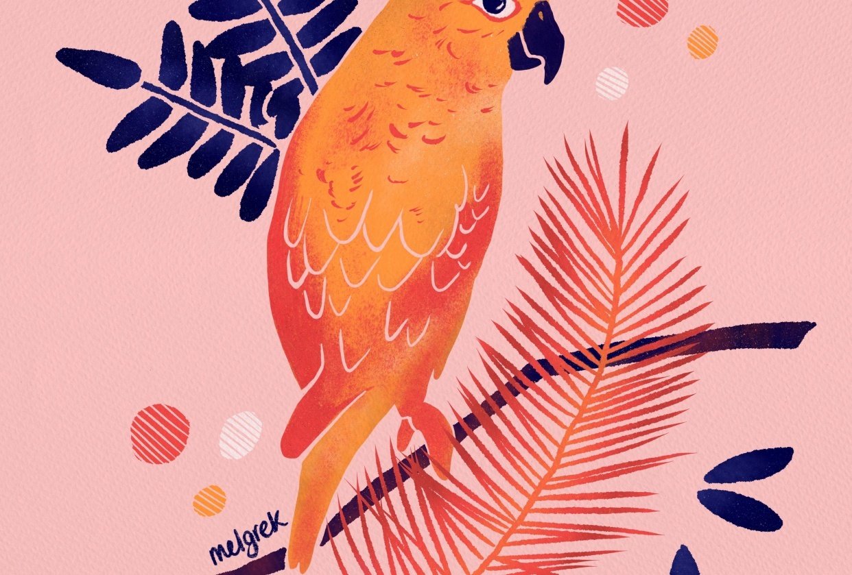 Bird | Skillshare Student Project