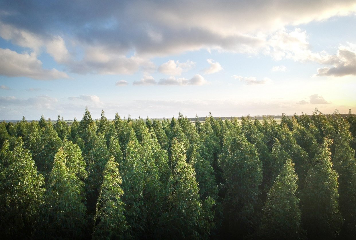 Effective Time Management Skillshare Student Project effective-time-management-skillshare-student-project