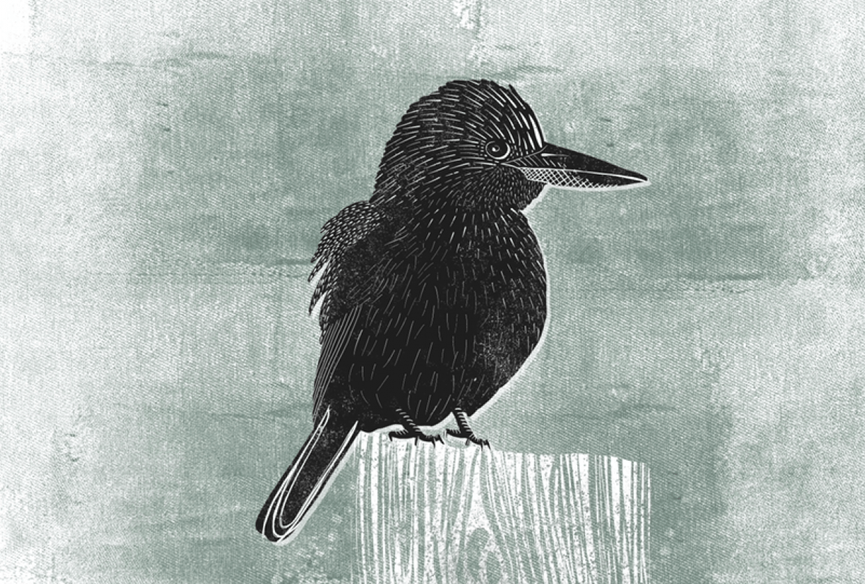 Block Print Style Birds | Skillshare Student Project