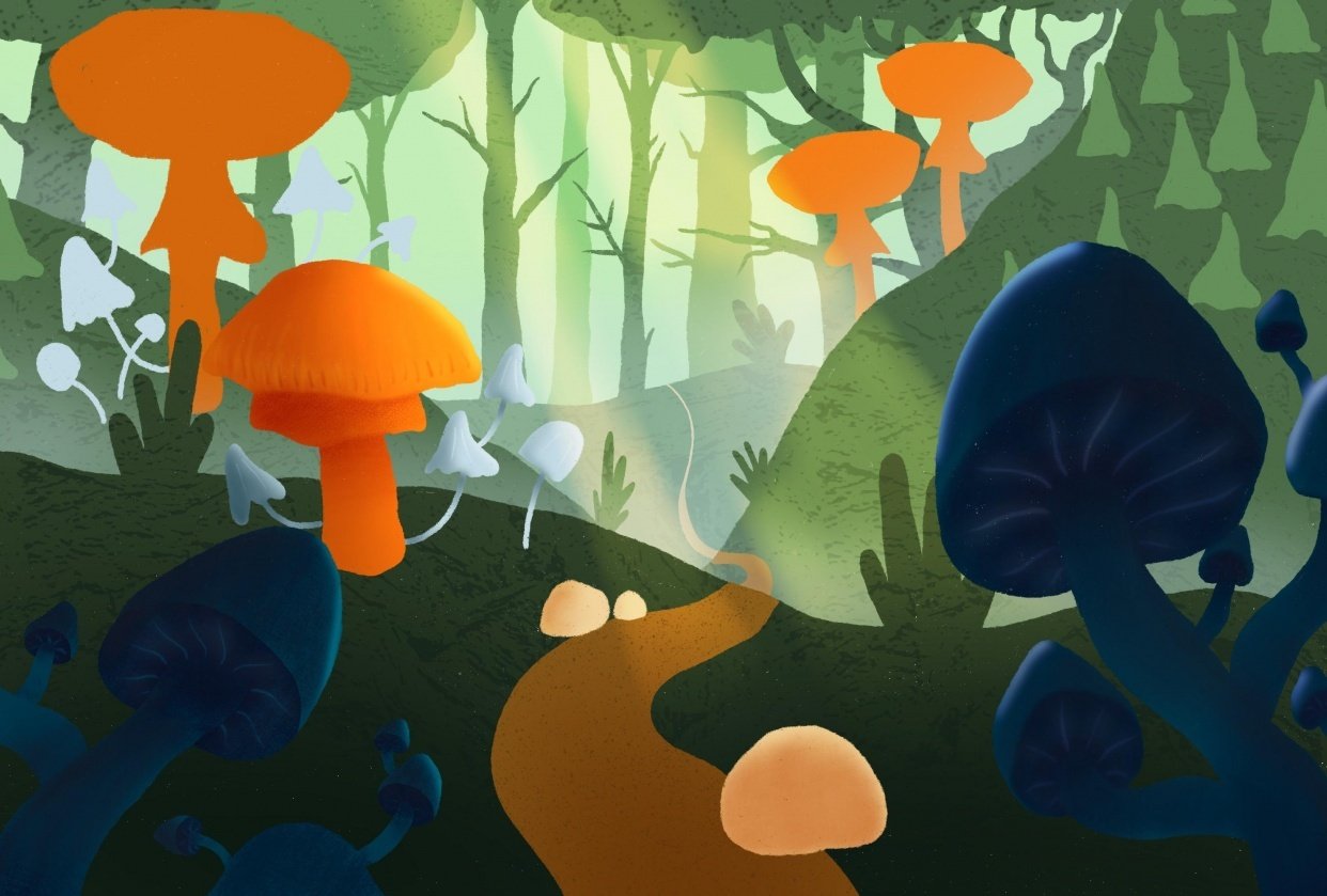 Work in progress | Skillshare Student Project