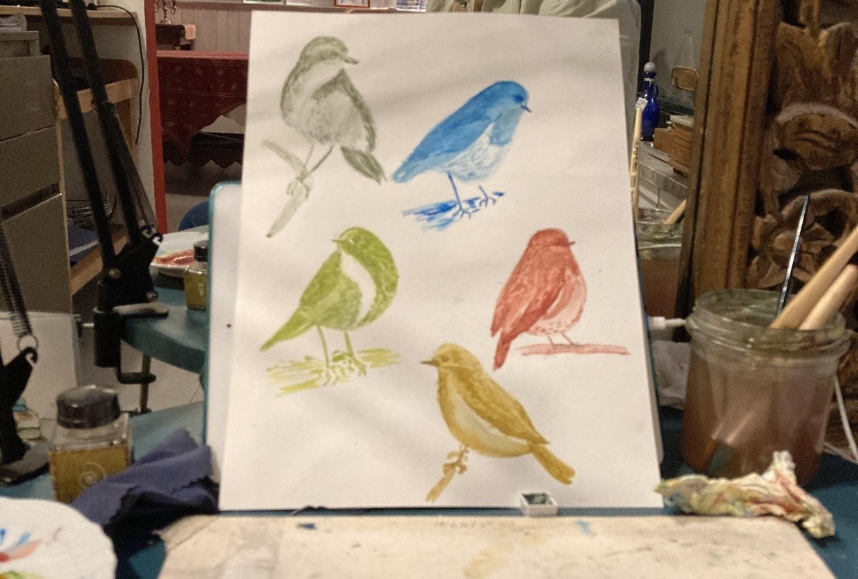 Birds | Skillshare Student Project