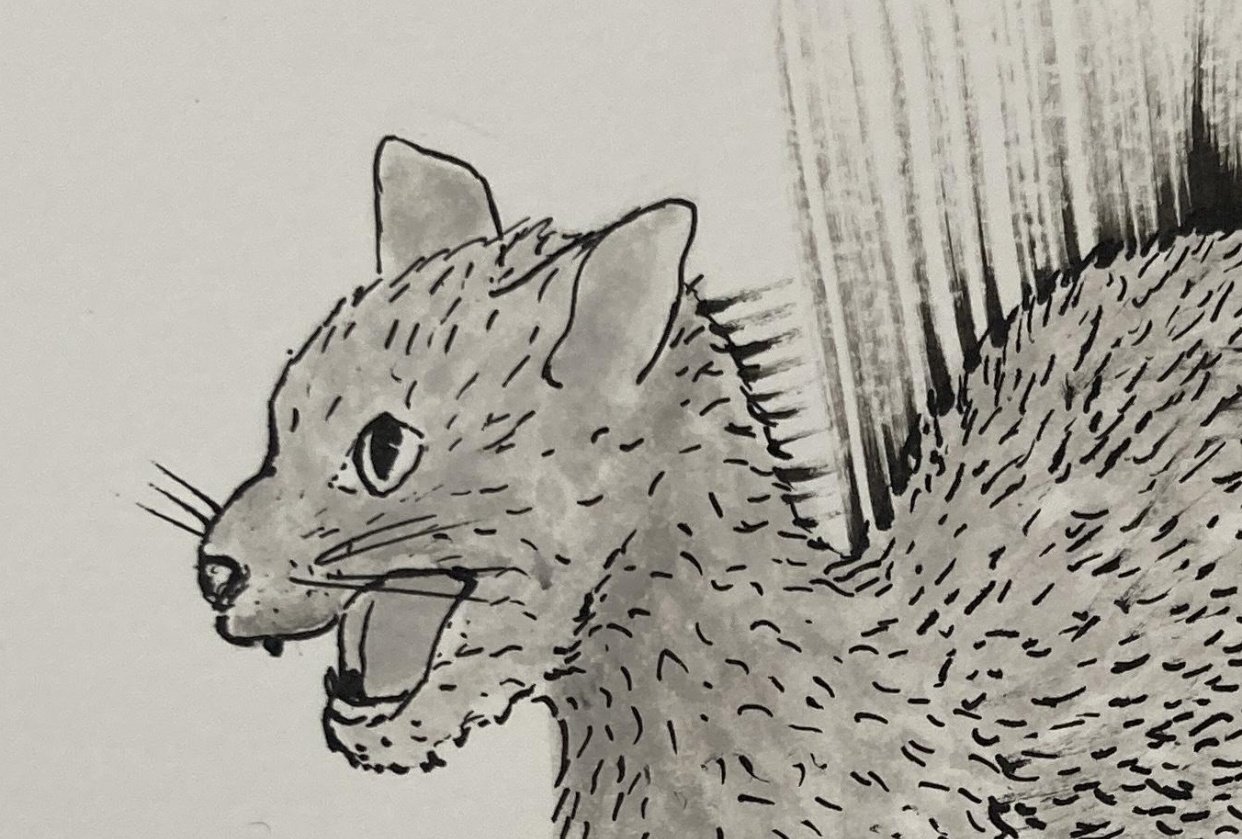 Angry cat | Skillshare Student Project