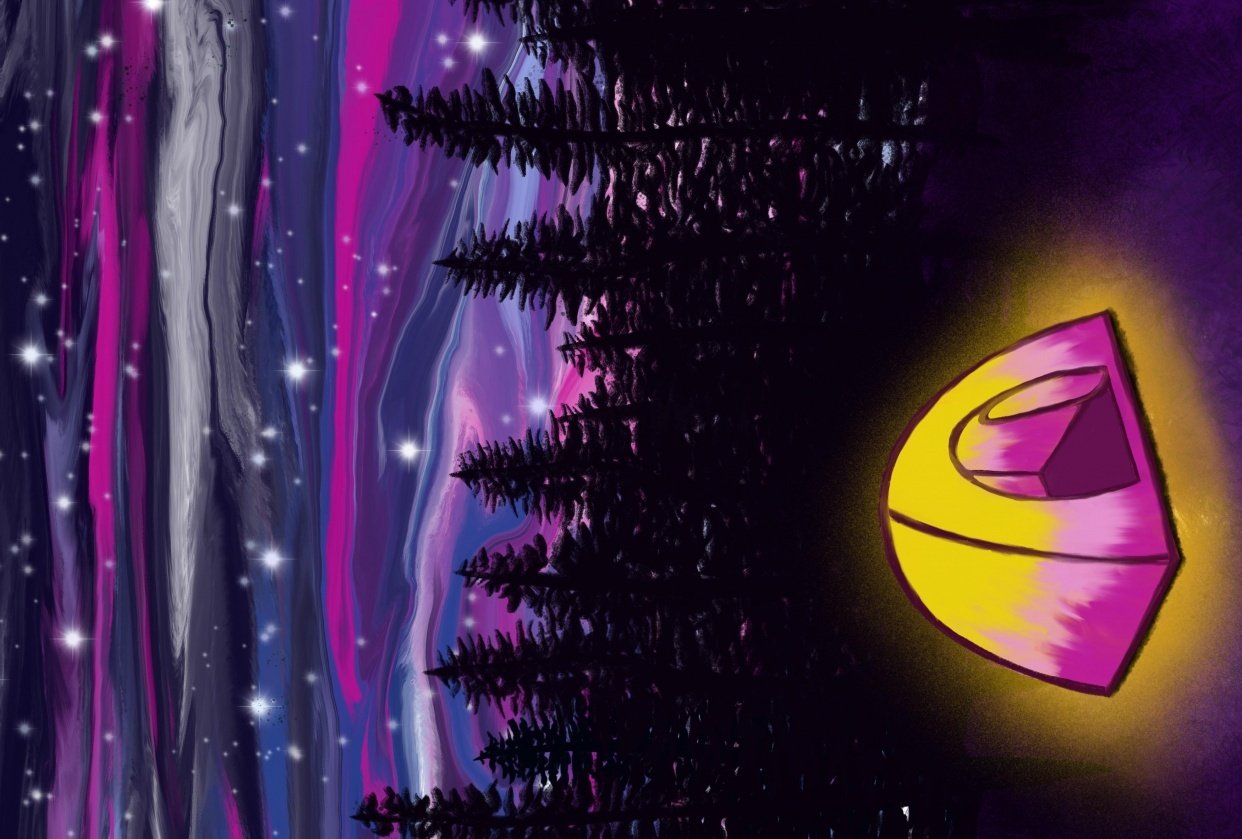 Pine tree experiment | Skillshare Student Project