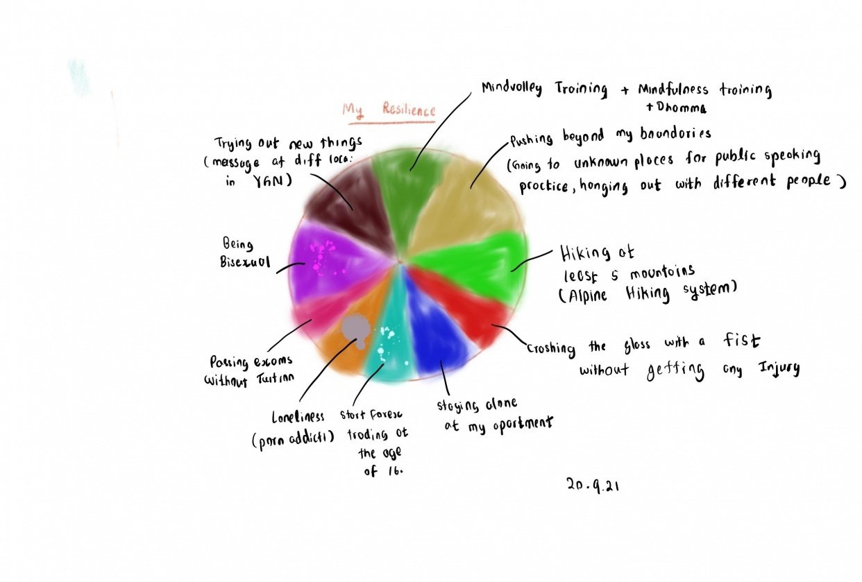 My Resilience Pie Chart | Skillshare Student Project