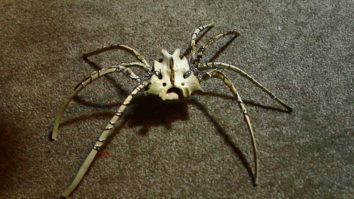 Bone Spider | Skillshare Student Project