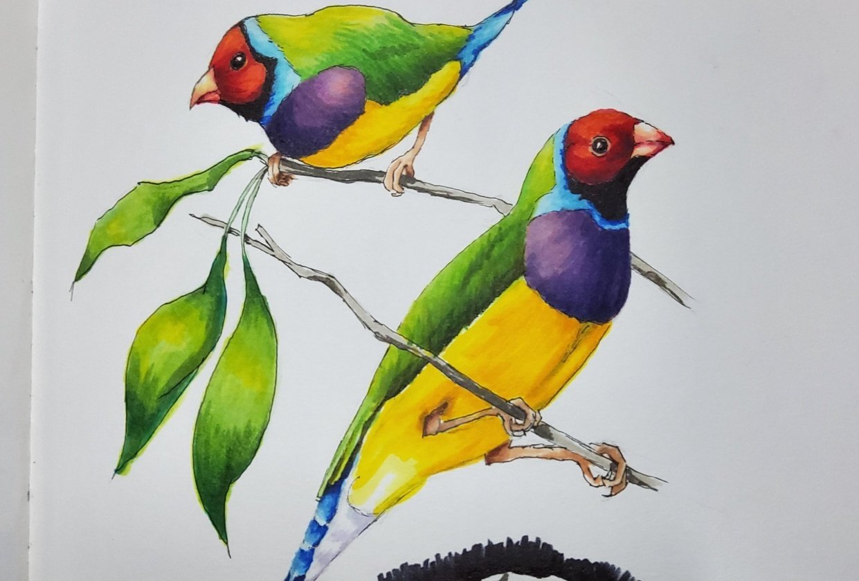 Colour Layering: Markers | Skillshare Student Project