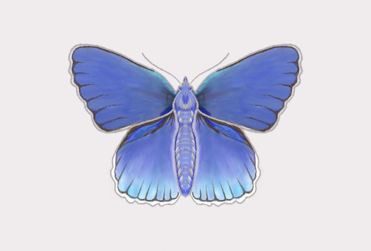 Big Blue | Skillshare Student Project