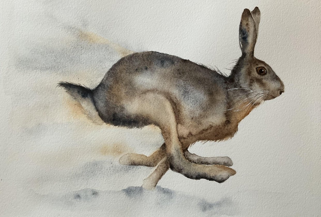 Galloping hare | Skillshare Student Project