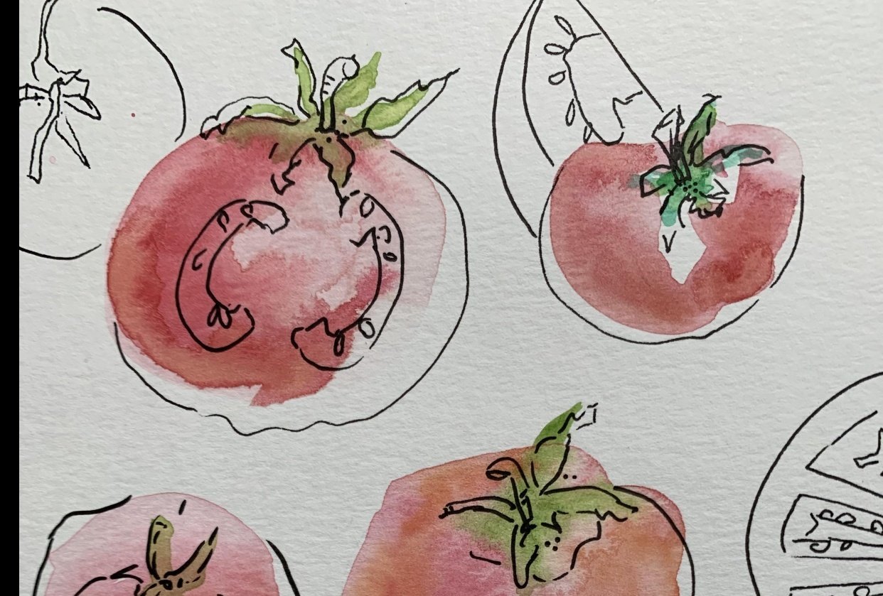 Watercolor and Ink Practice | Skillshare Student Project