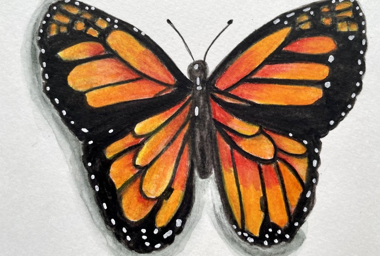 Excellent class | Skillshare Student Project