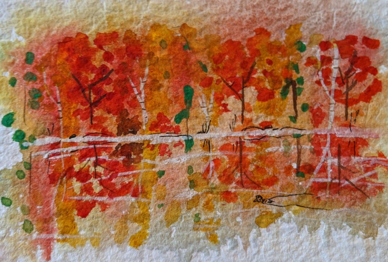 Fall colors | Skillshare Student Project