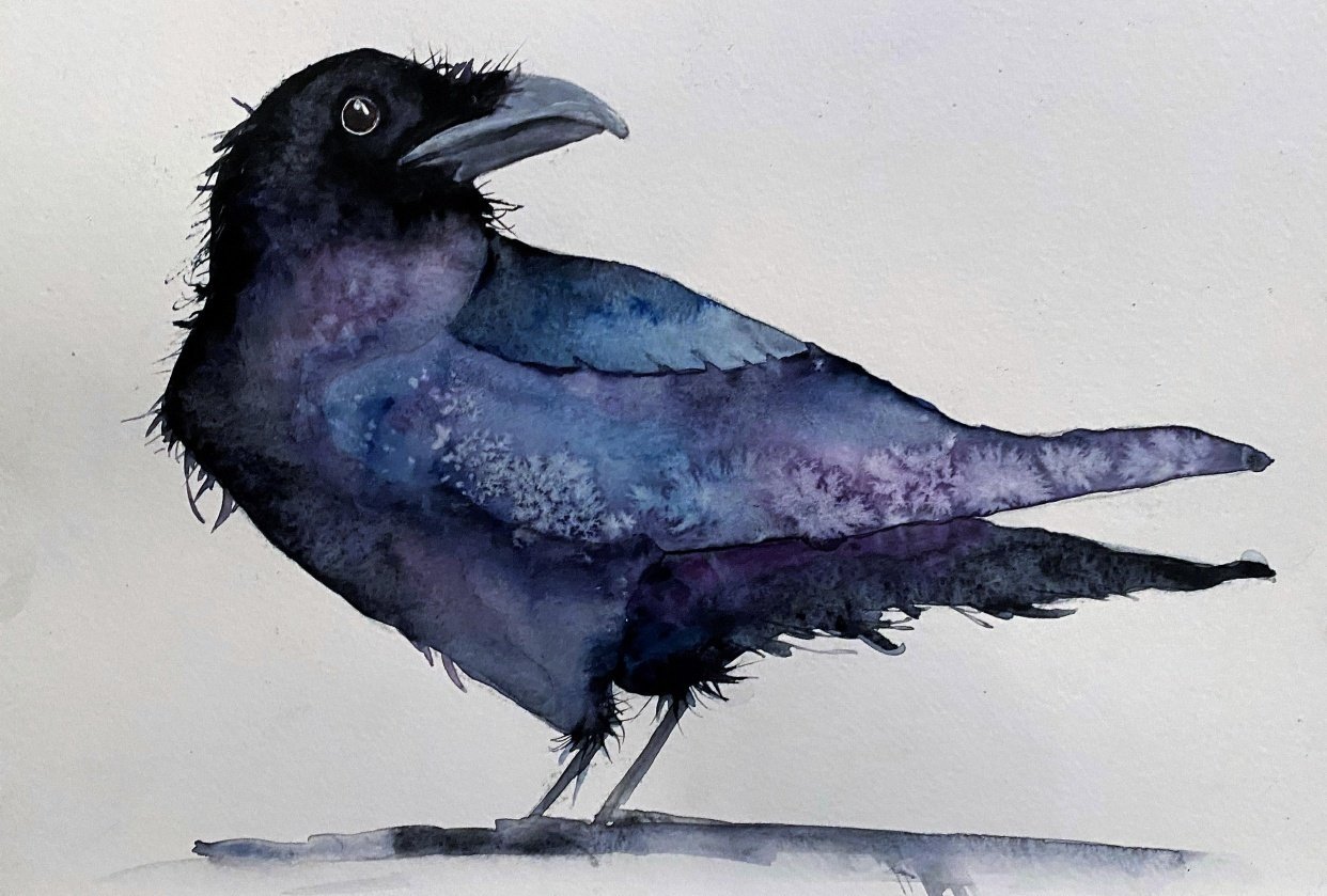 Raven- so much fun to paint! | Skillshare Student Project