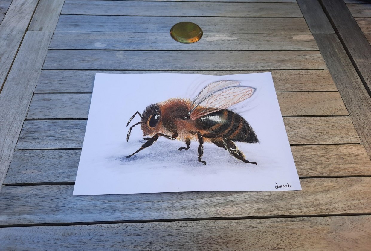 Mixed media bee | Skillshare Student Project