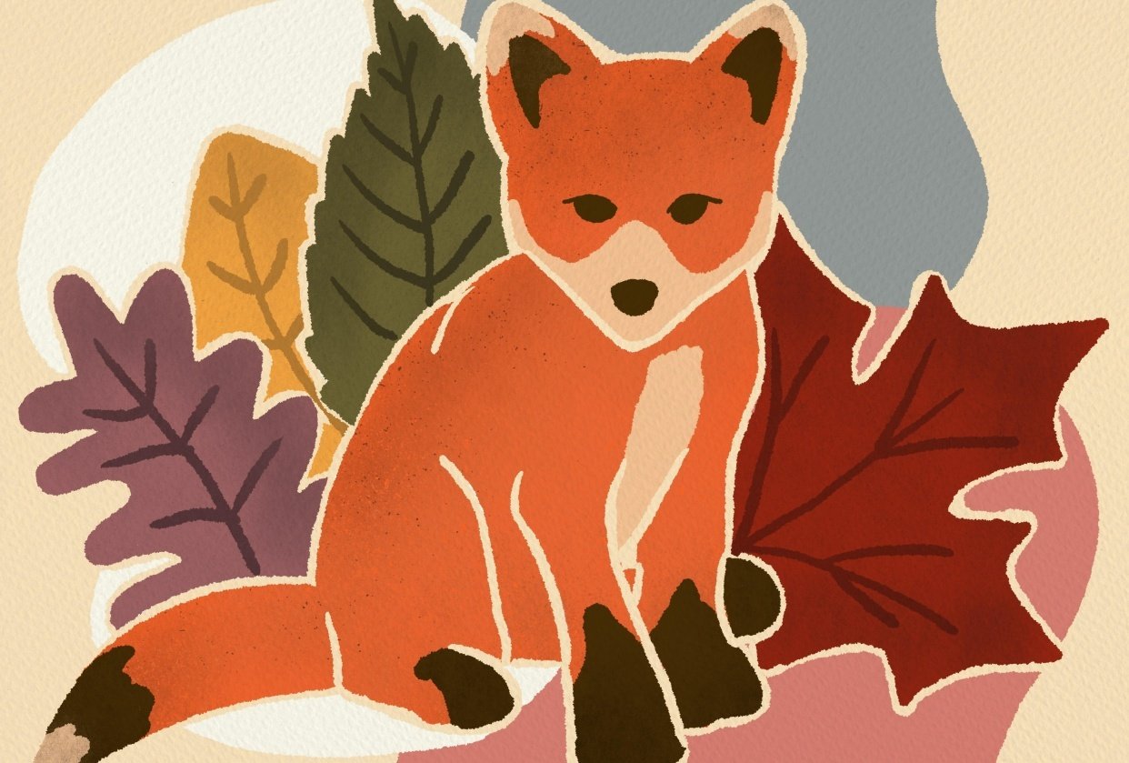 Autumn Fox | Skillshare Student Project