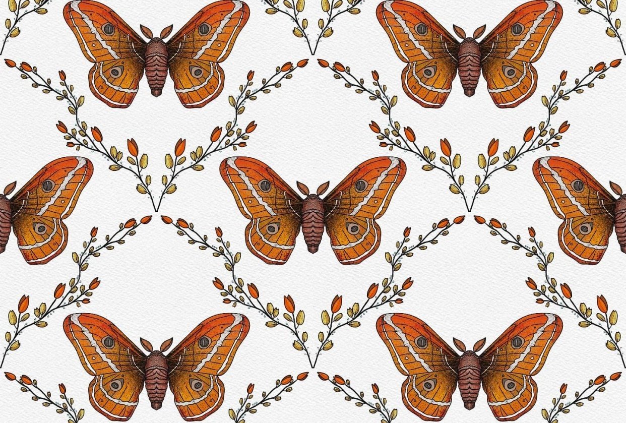 Moth pattern | Skillshare Student Project