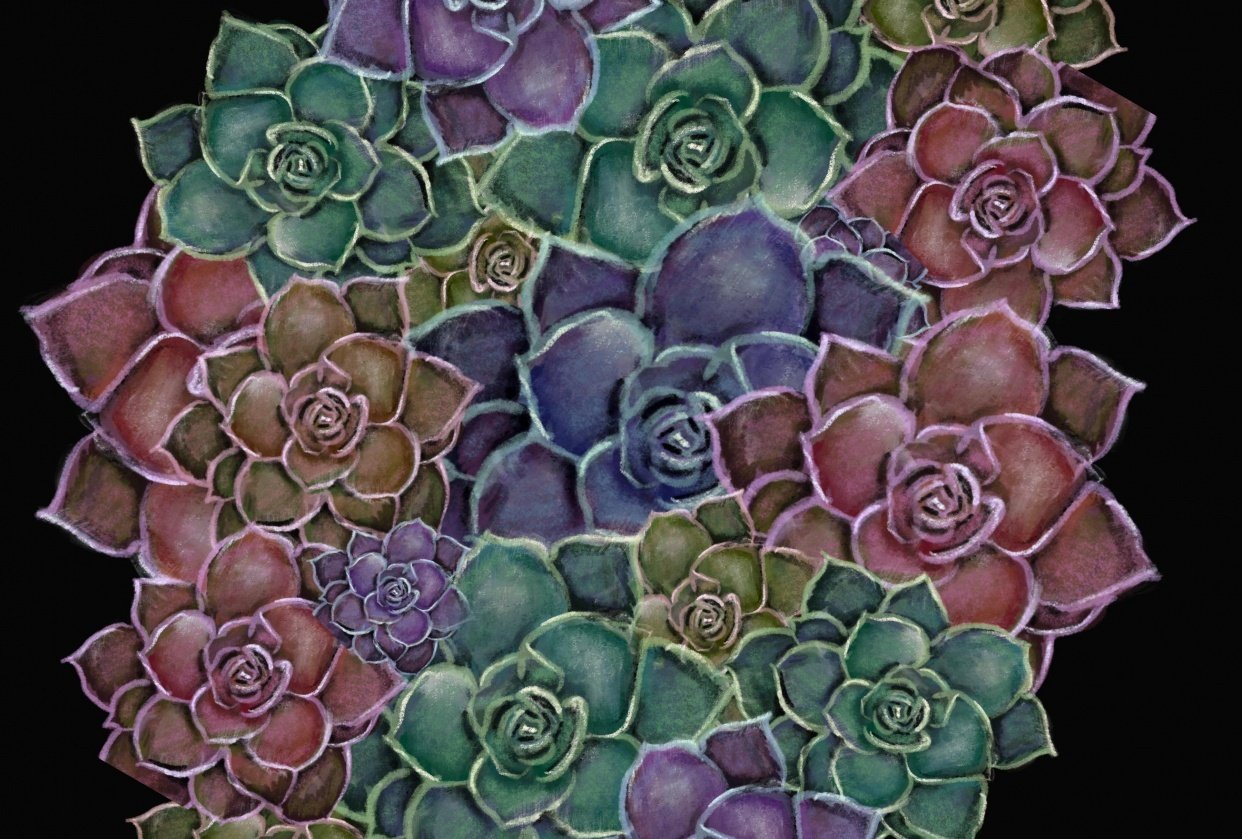 My First Succulents | Skillshare Student Project