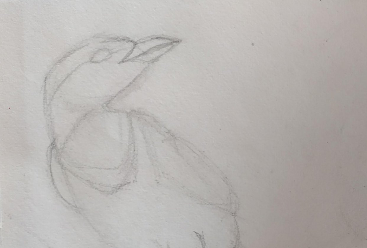 Basic shape drawing | Skillshare Student Project