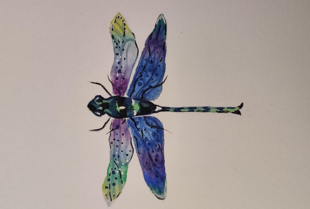 dragonfly | Skillshare Student Project