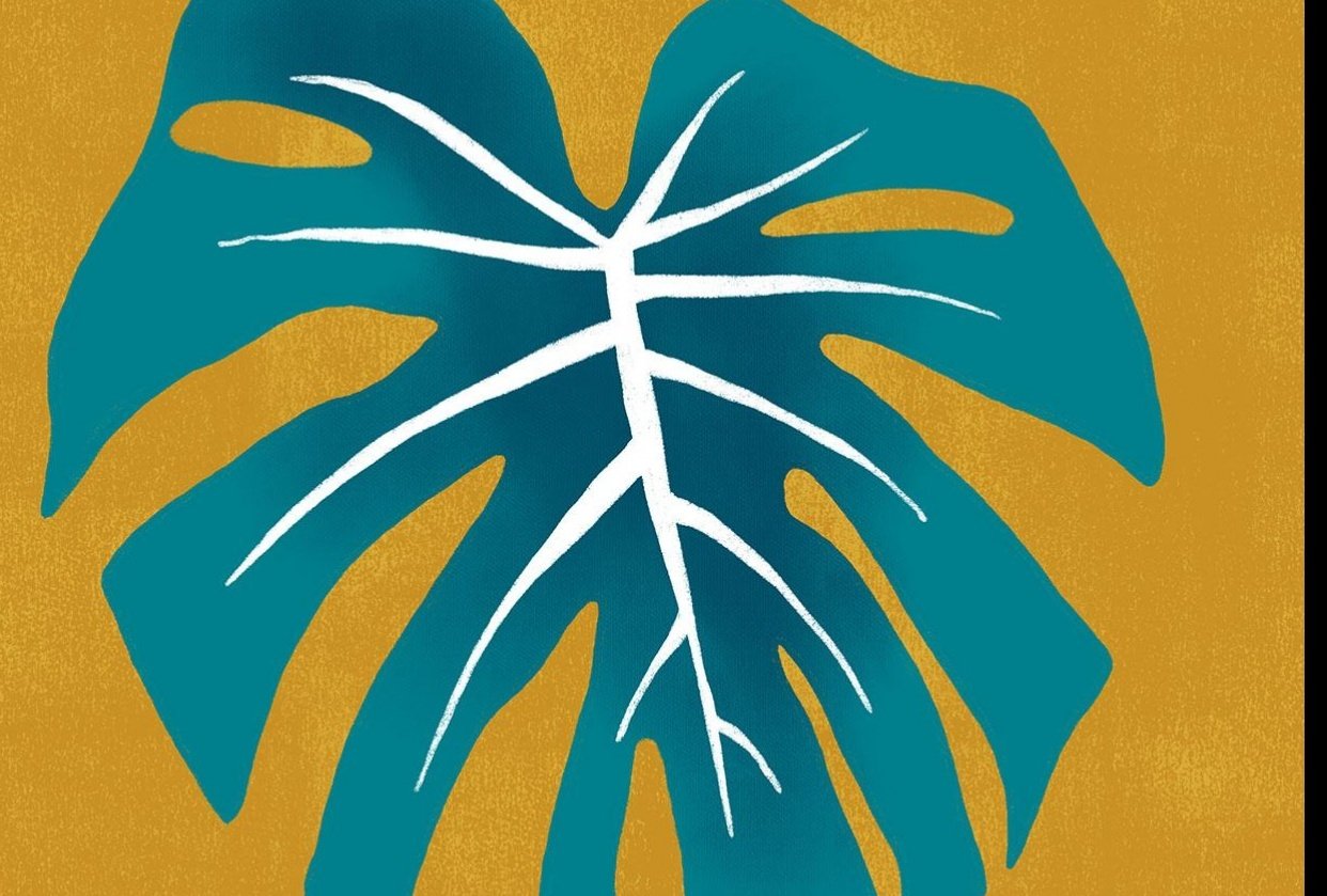 Procreate Class Projects | Skillshare Student Project