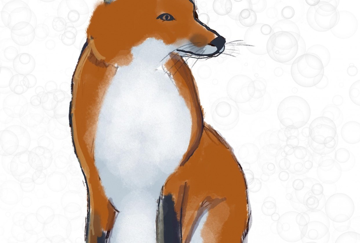 My Little Fox | Skillshare Student Project