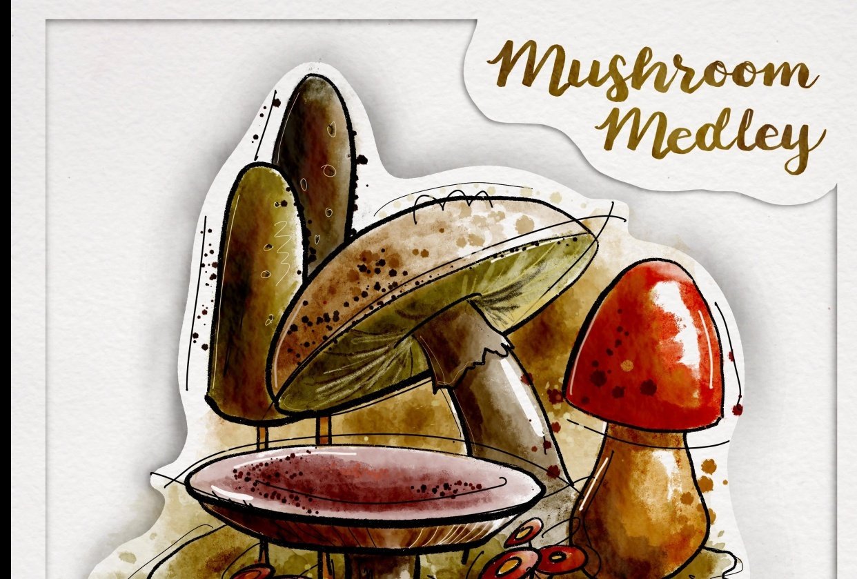 Hand-Drawn 3D Papercuts in Procreate | Skillshare Student Project