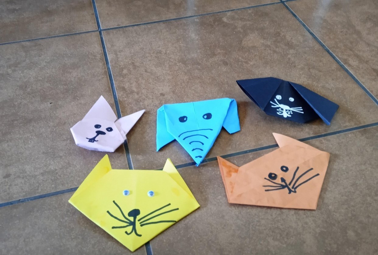 Animals | Skillshare Student Project