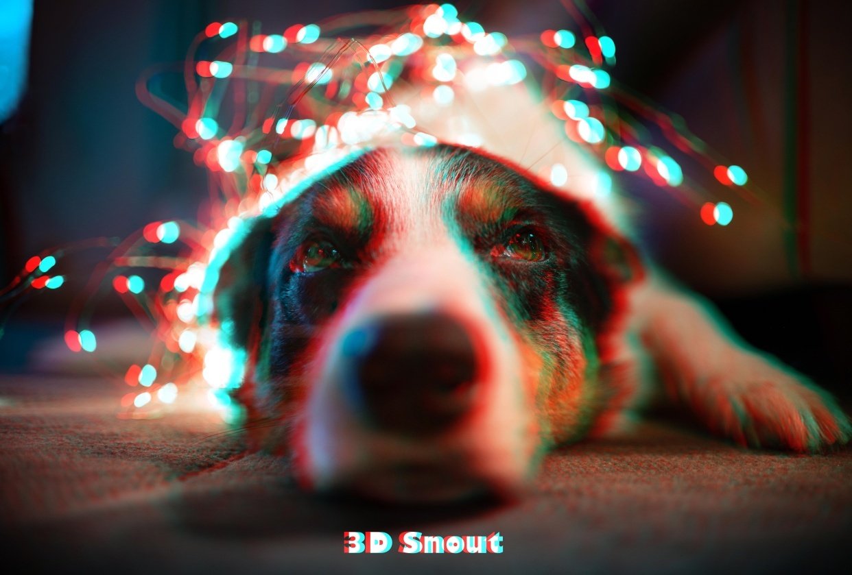 Photoshop Essentials | Skillshare Student Project