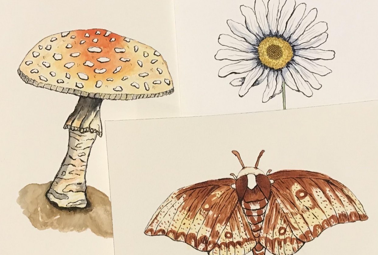 Watercolor in Nature | Skillshare Student Project