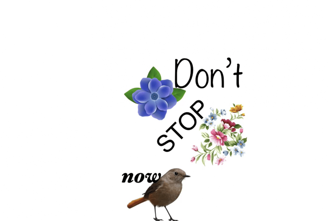 Don’t Stop Now | Skillshare Student Project