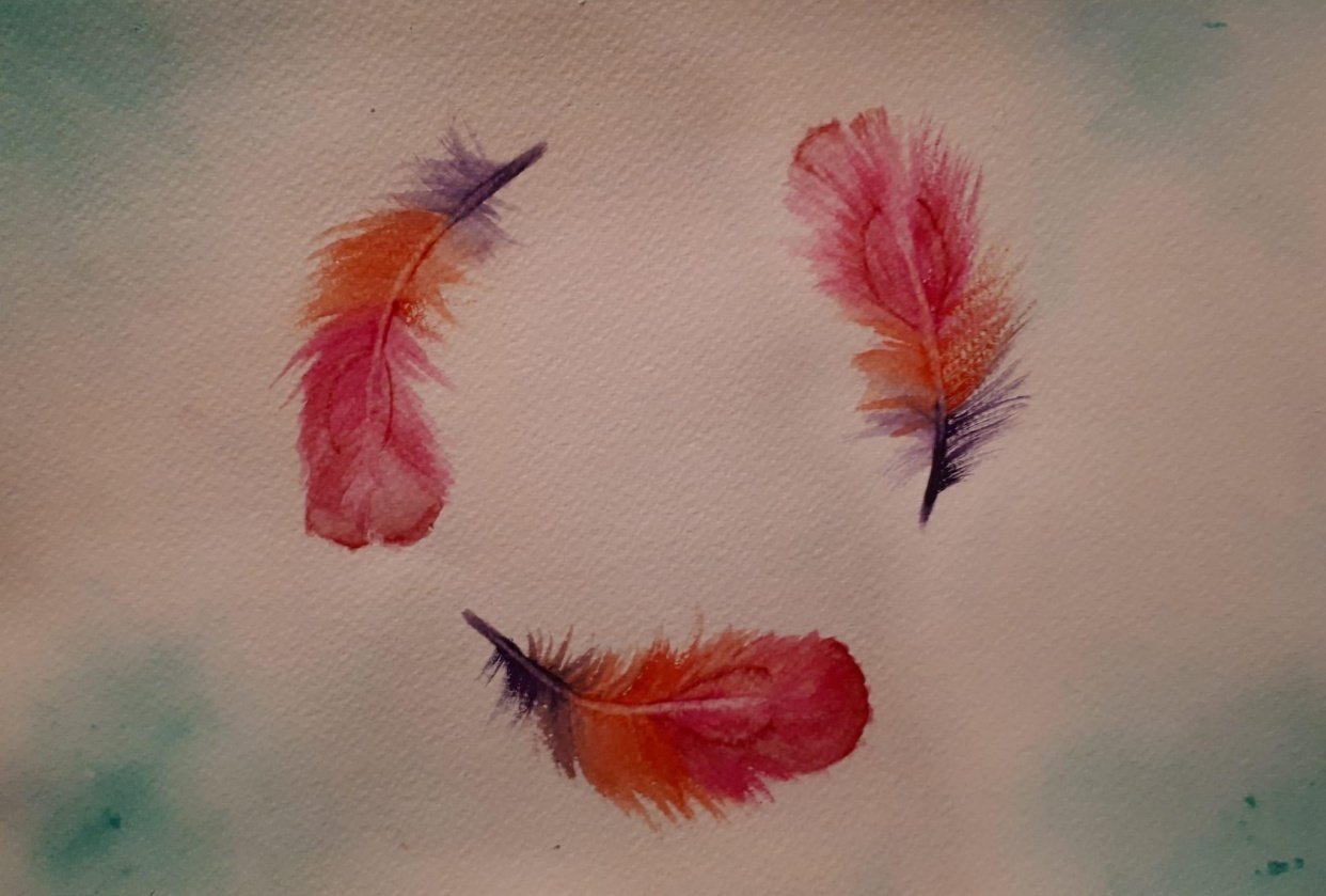 feathers | Skillshare Student Project