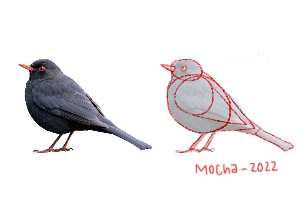 Breaking Down into simple shapes | Skillshare Student Project