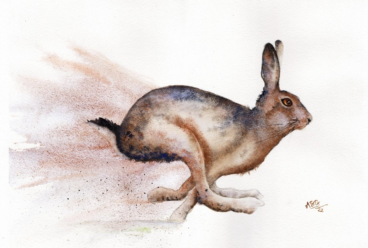 Prancing Hare | Skillshare Student Project