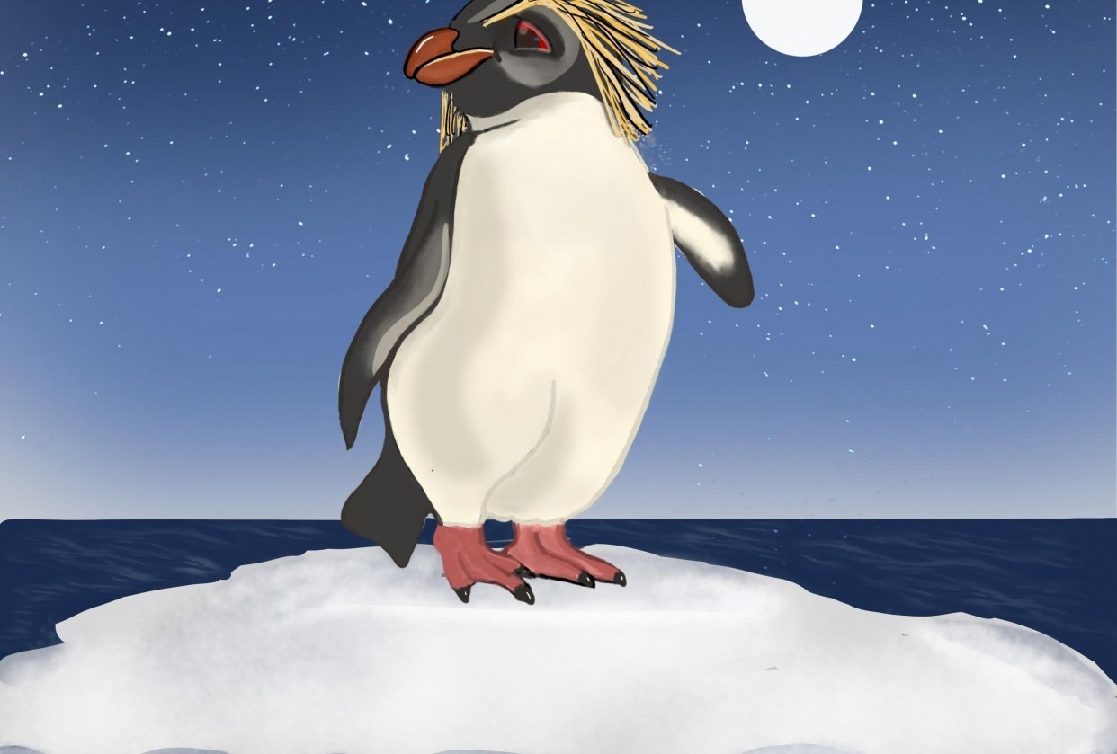 My Penguin | Skillshare Student Project