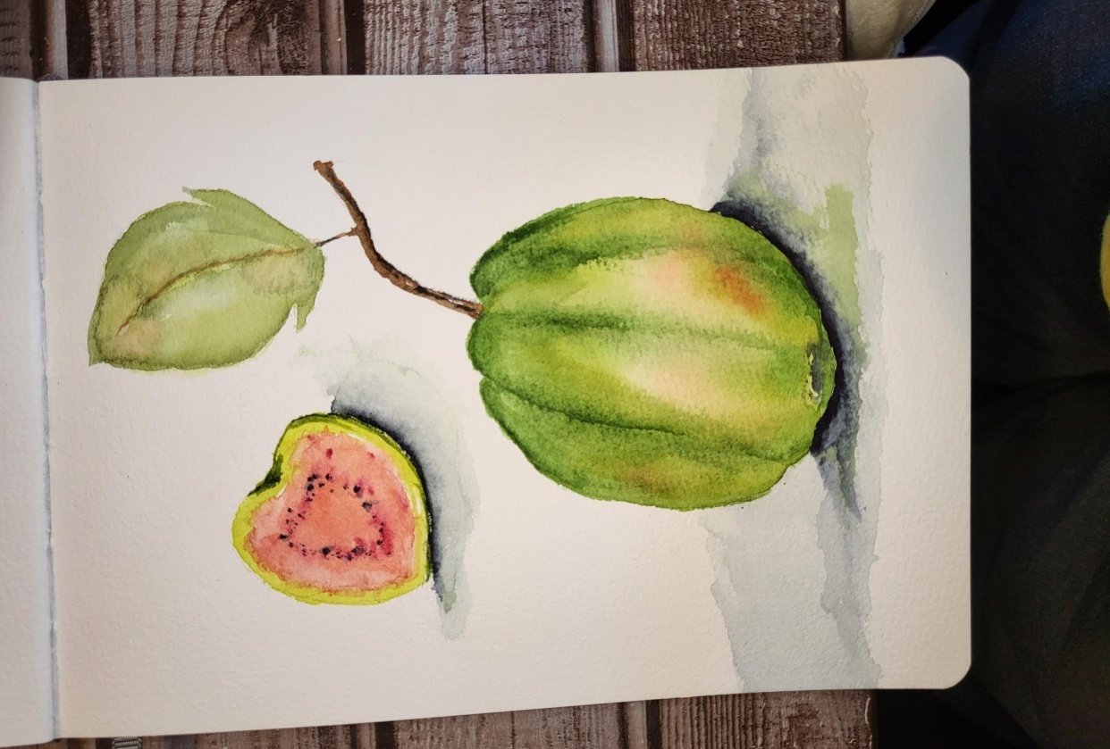 Guava - Tropical Fruit Series | Skillshare Student Project