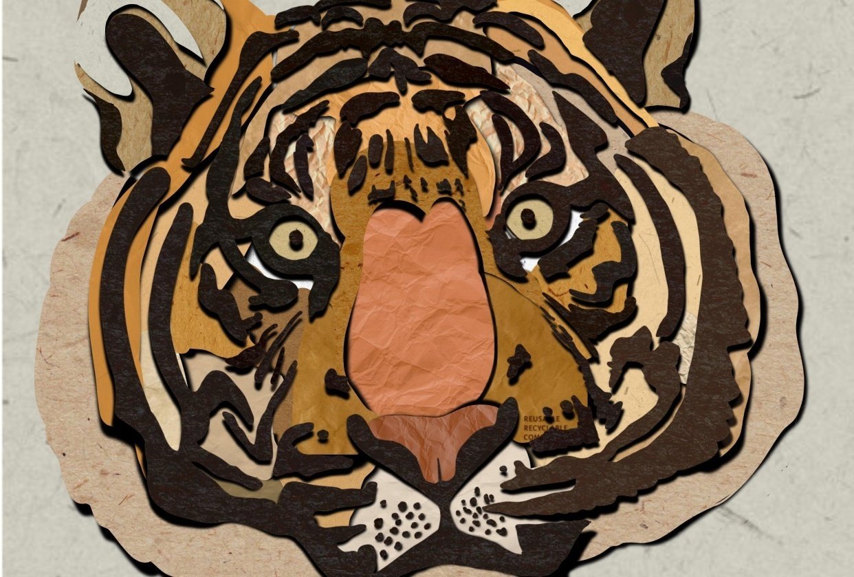 Hello tiger | Skillshare Student Project