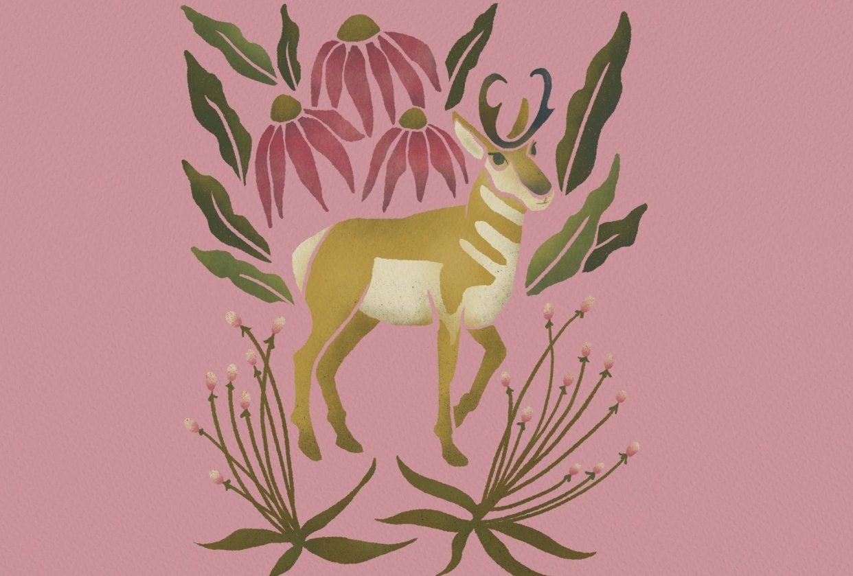 Prairie | Skillshare Student Project