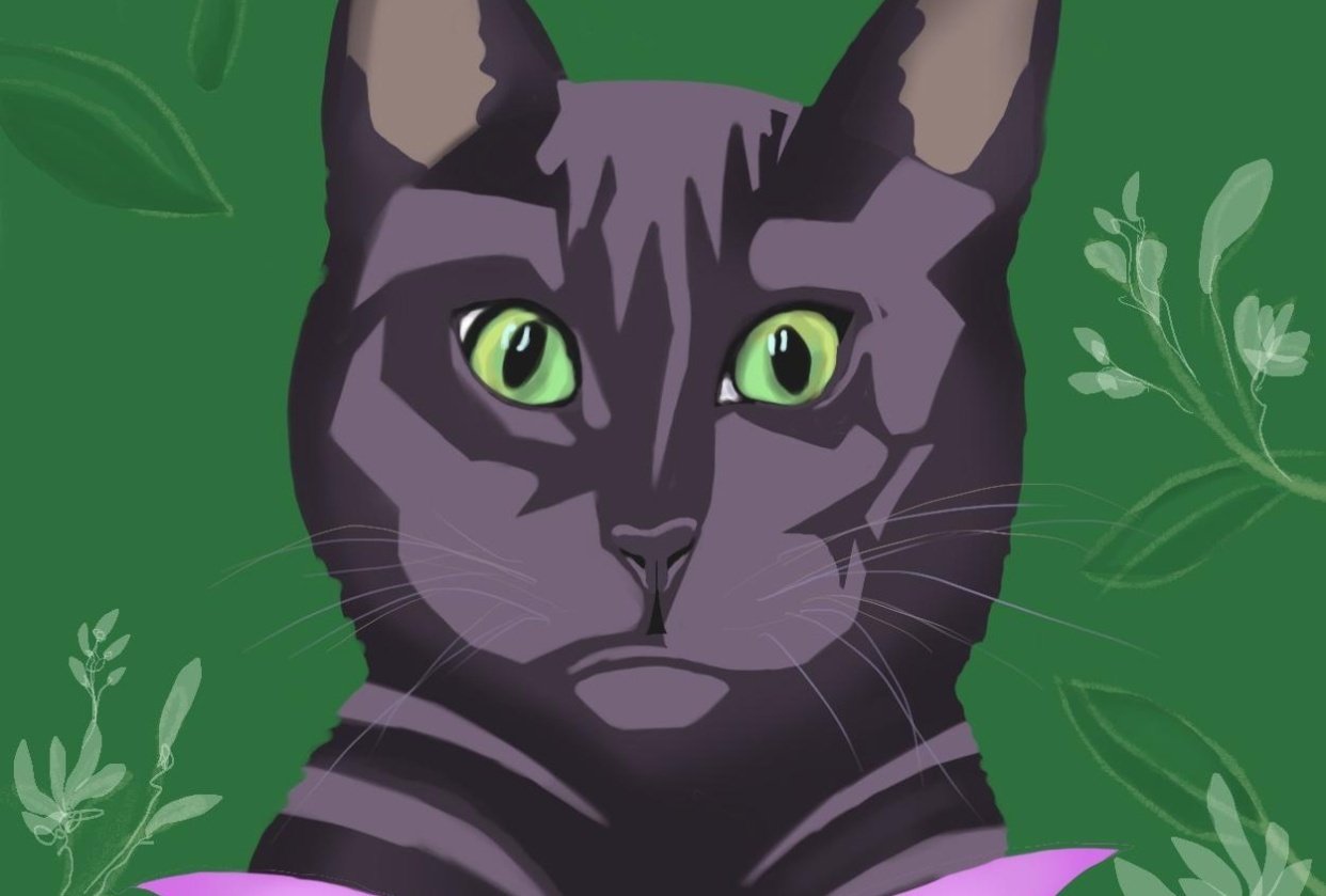 Kiki the Cat - First Art Portrait with Procreate | Skillshare Student Project