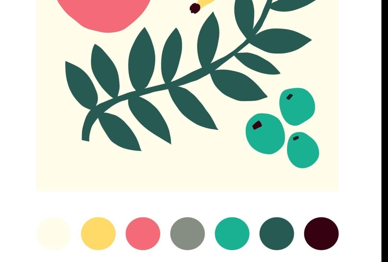 Color Palette Skillshare Student Project