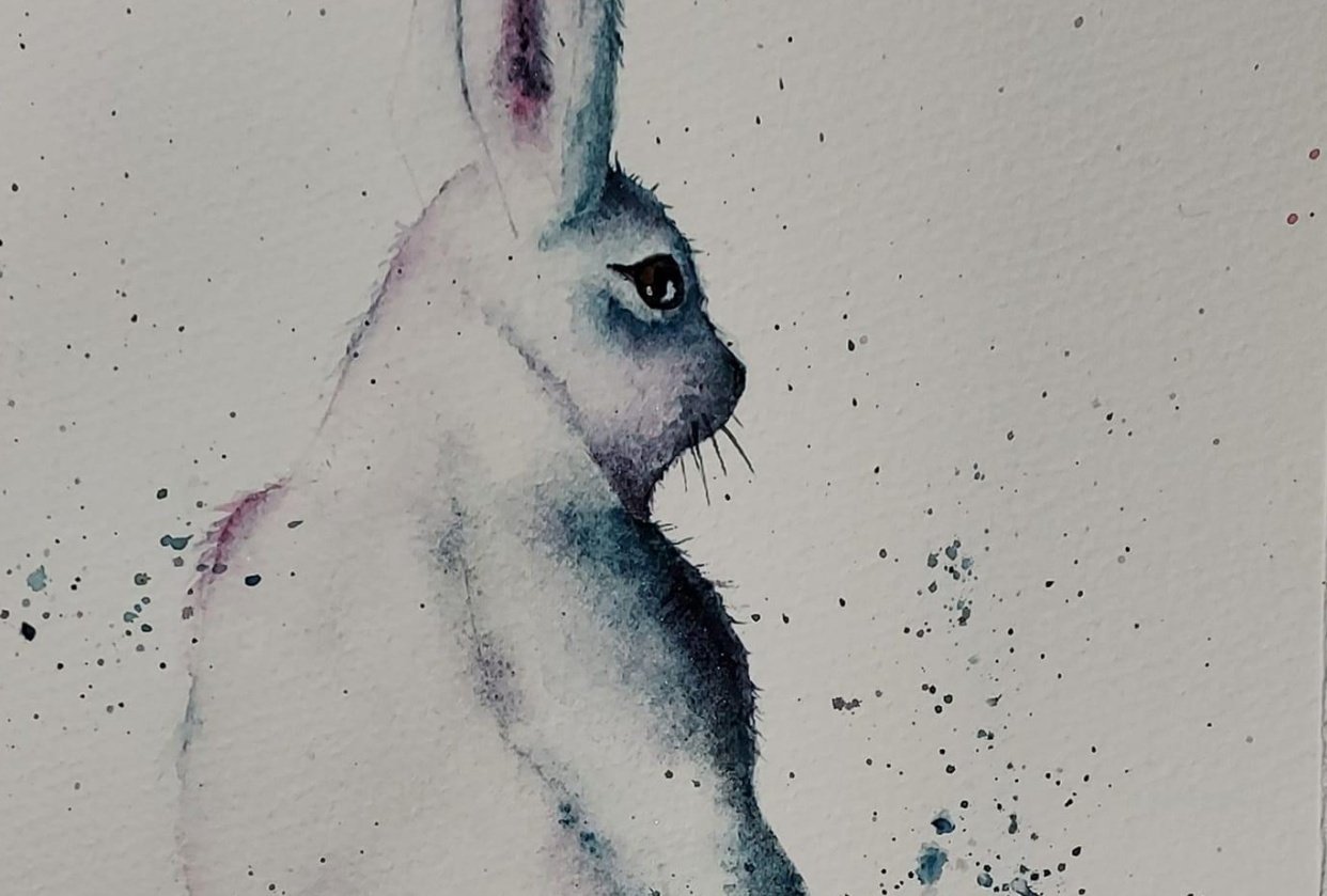 White hare | Skillshare Student Project